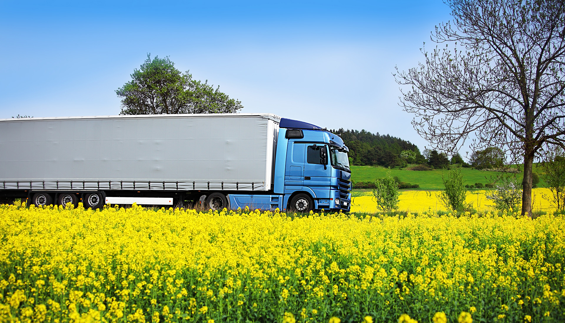 Skupina CARGO SYSTEM - CARGO SYSTEM - Tuzemská i mezinárodní doprava po ...